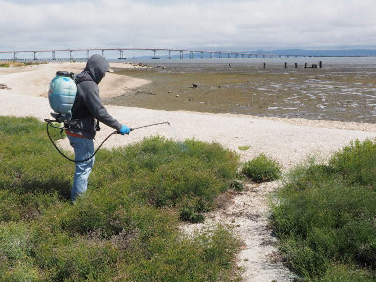 California Invasive Plant Council – Protecting California’s environment ...