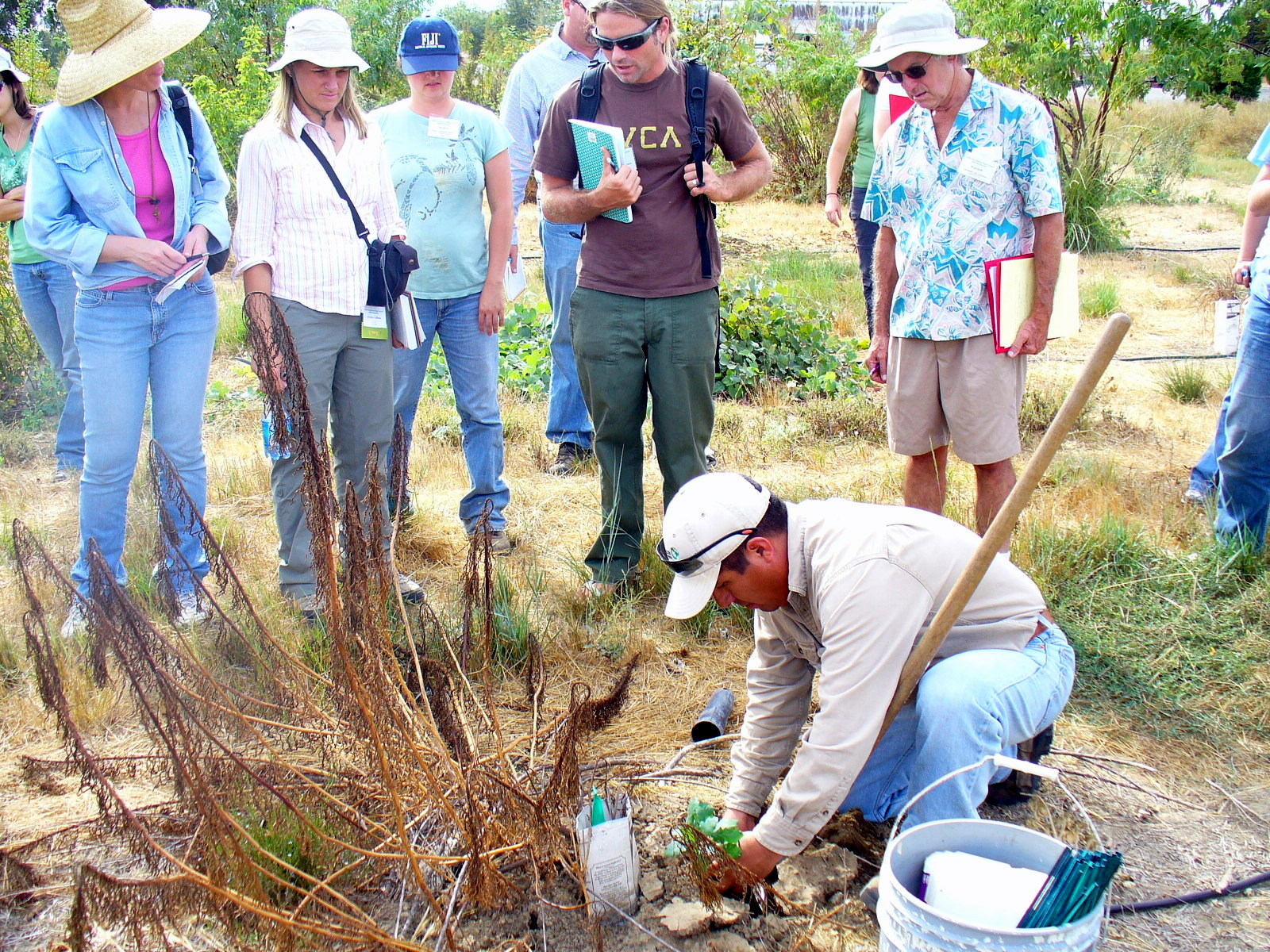 Cal-IPC Field course training weed demonstration – California Invasive ...