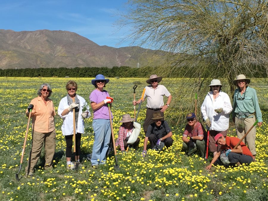 California Invasive Plant Council – Protecting California’s environment ...