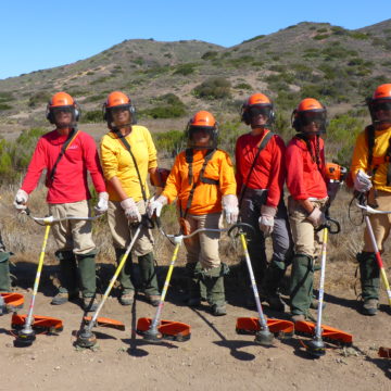 California Invasive Plant Council – Protecting California’s environment ...
