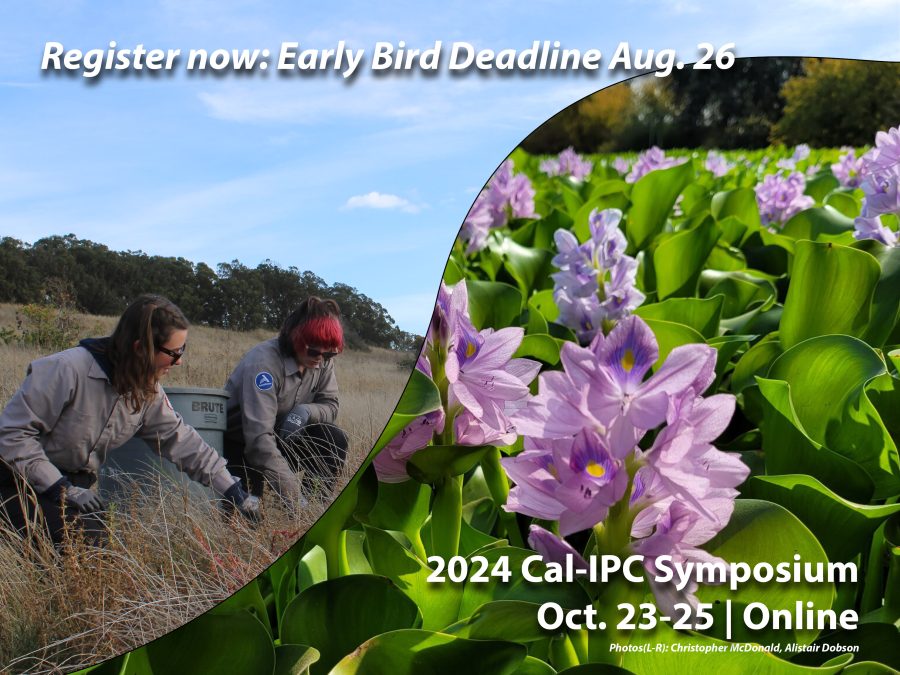 Cal-IPC Projects – California Invasive Plant Council