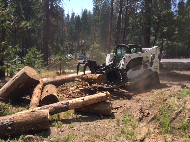 Tree_mortality_Sierra_moving logs_Kevin_Wright_IMG_1338 – California ...