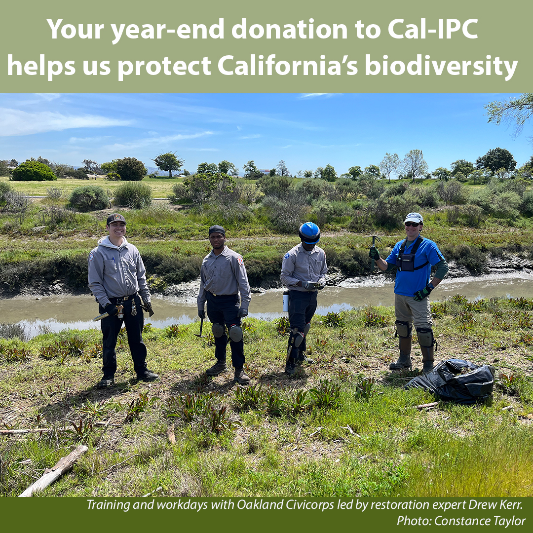 2023 EOY Campaign Web – California Invasive Plant Council