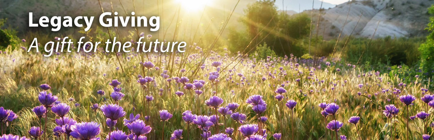 Create a Legacy – California Invasive Plant Council