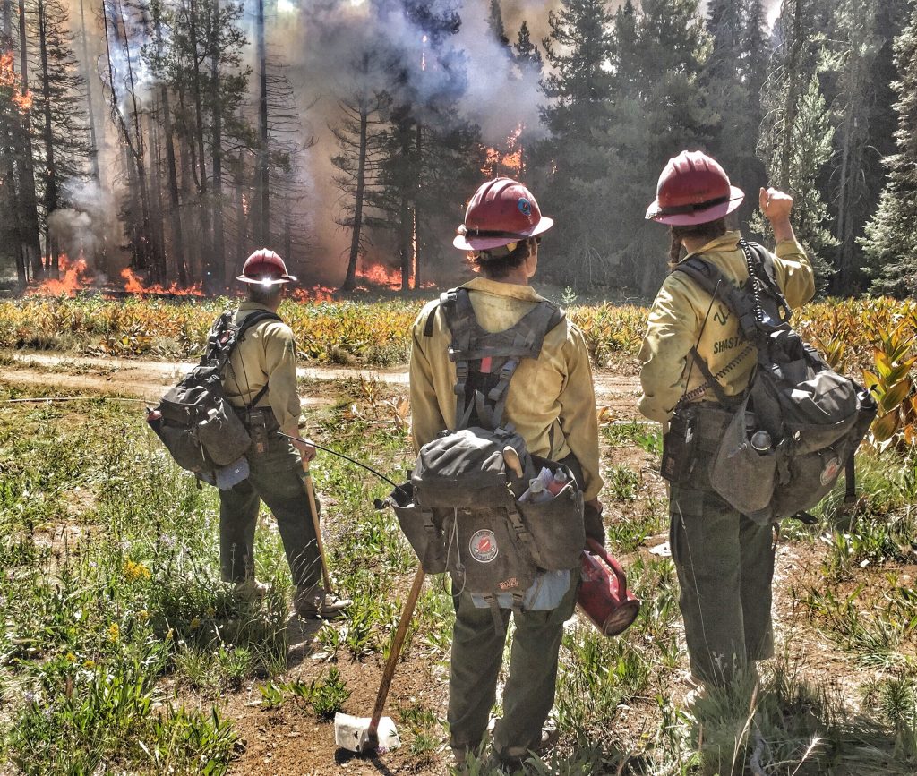 Redding Hotshots Pioneer Fire 2016 Pacific Southwest Forest Service ...