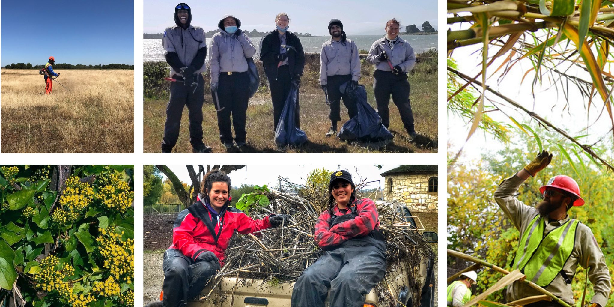 Strategic Plan – California Invasive Plant Council