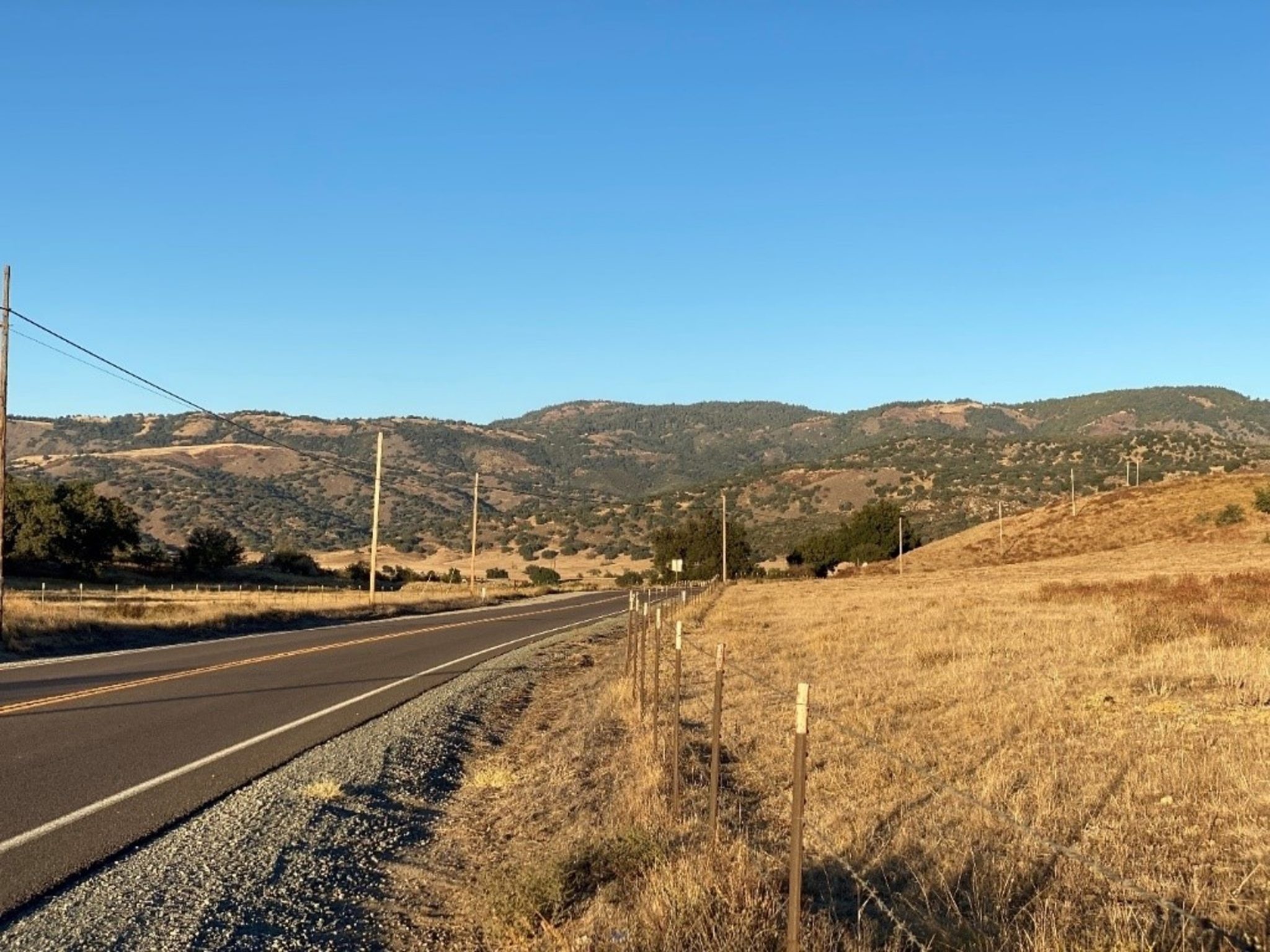 Roadside Ignition Reduction Guide – California Invasive Plant Council