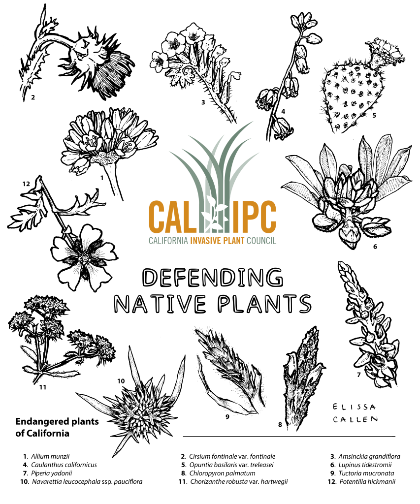 Cal-IPC 2025_v3 black (1) – California Invasive Plant Council